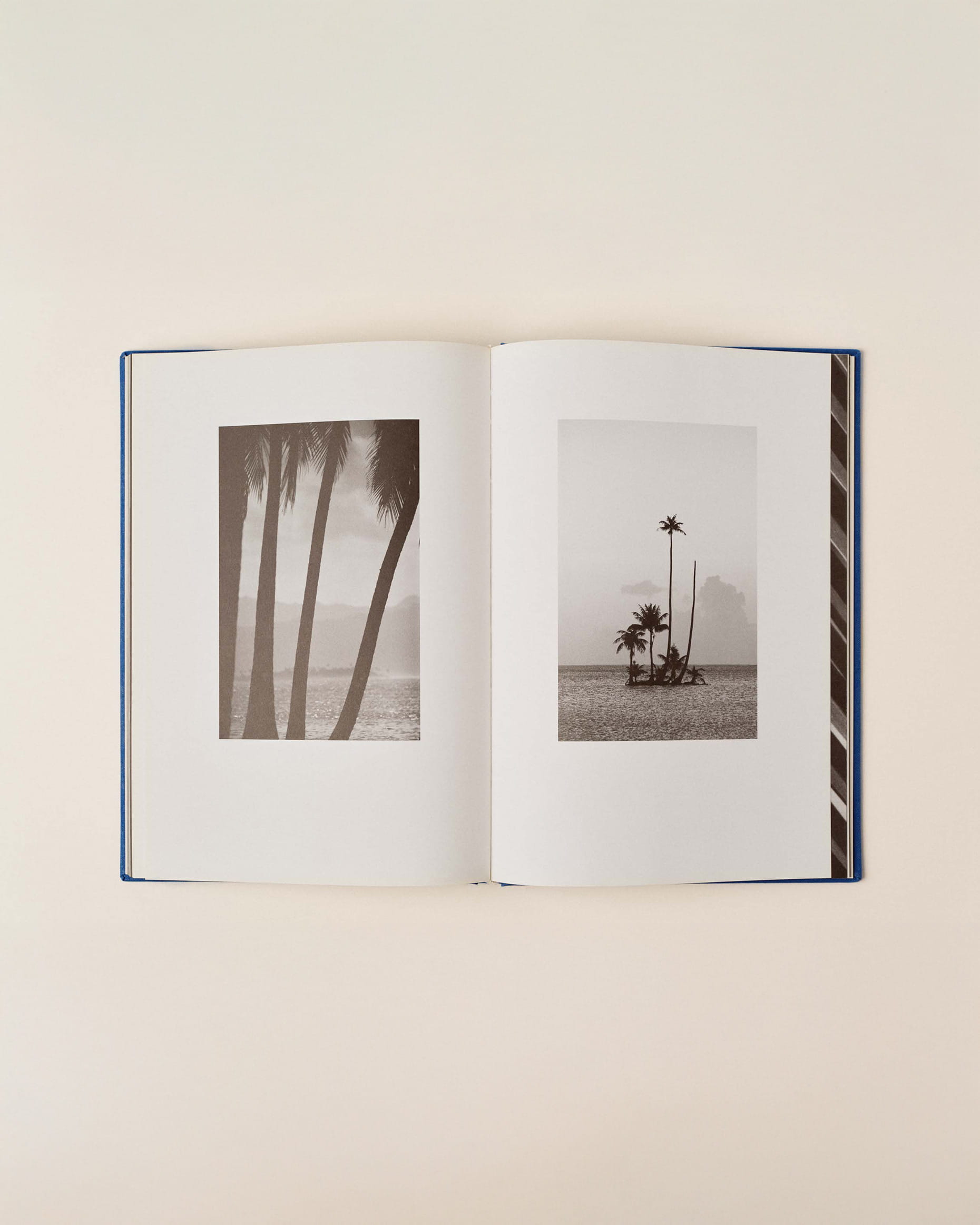 SOUTH SEA JOURN | Book | SESSÙN Official website